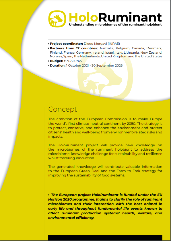 The project brochure is now available! – HoloRuminant