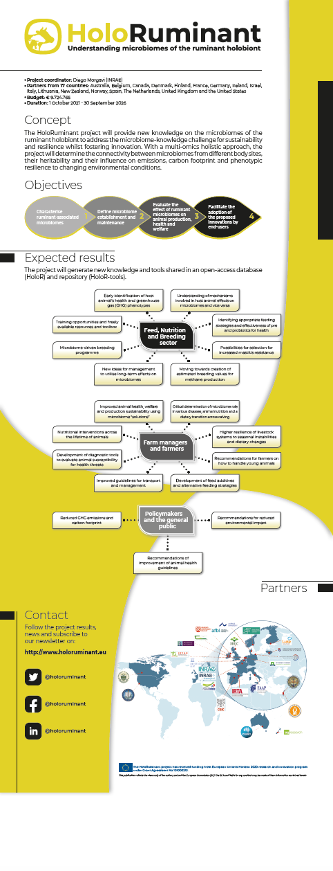 Promotional material – HoloRuminant
