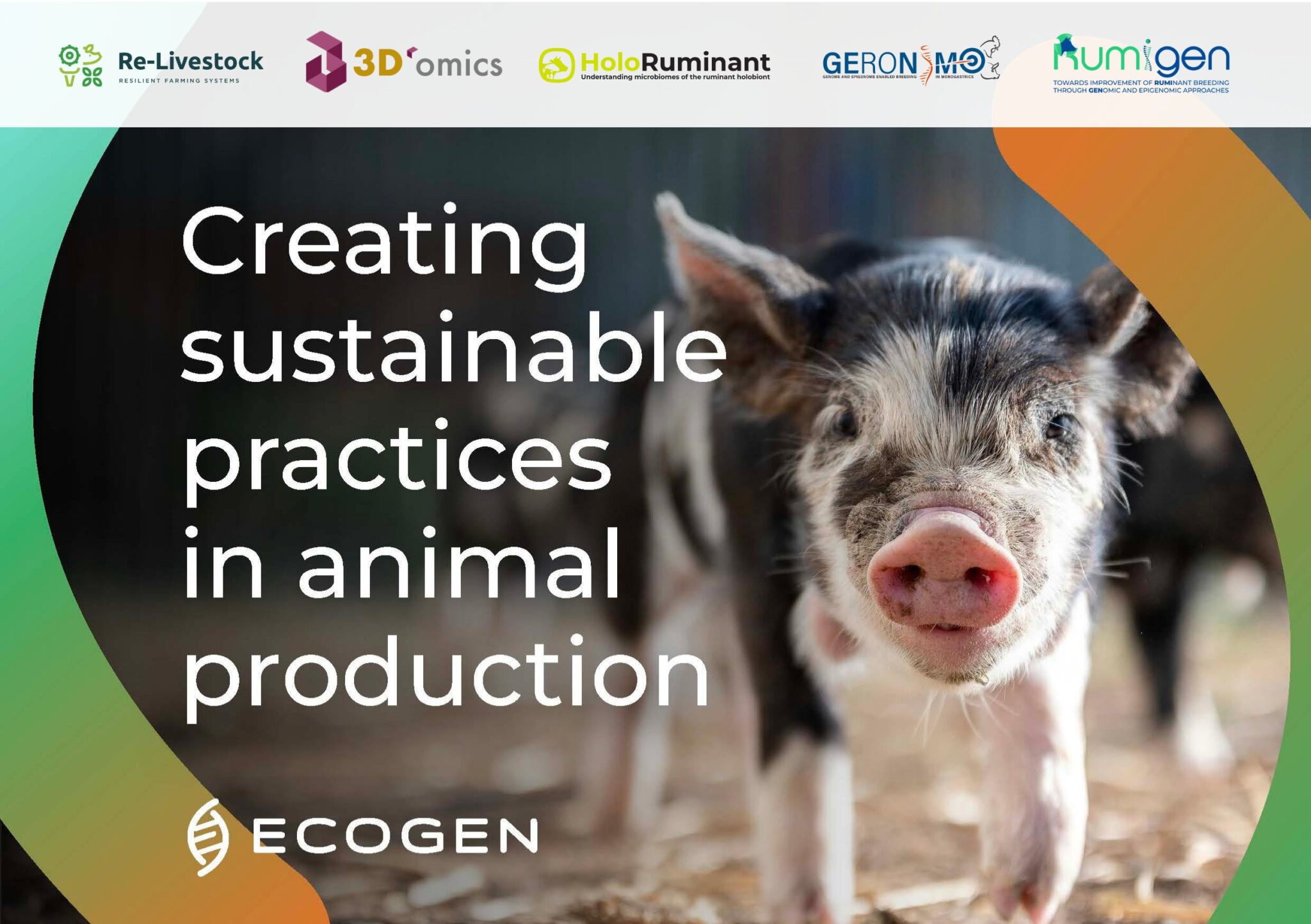 EcoGen Factsheets – HoloRuminant